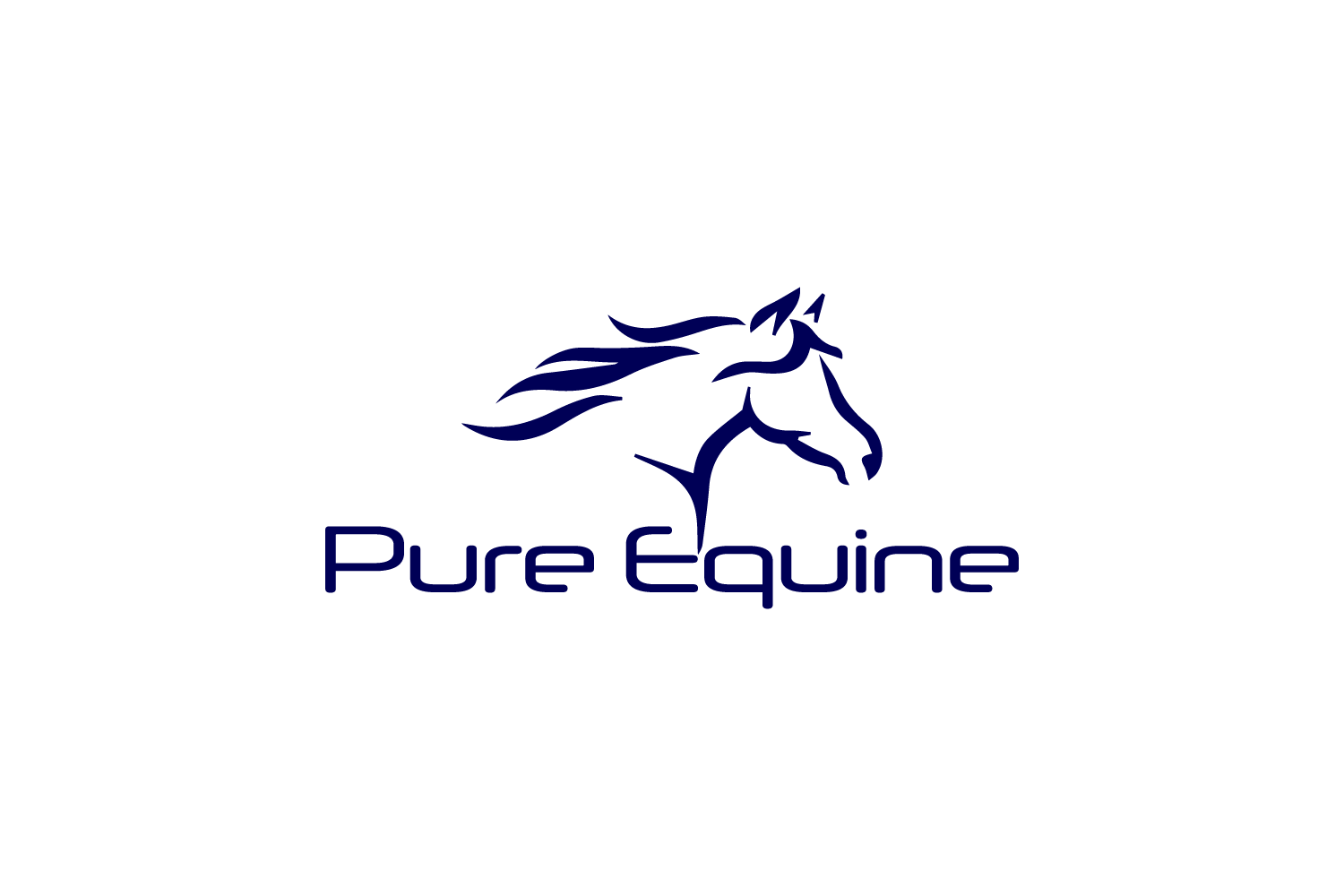 Pure Equine – DC|Engineering