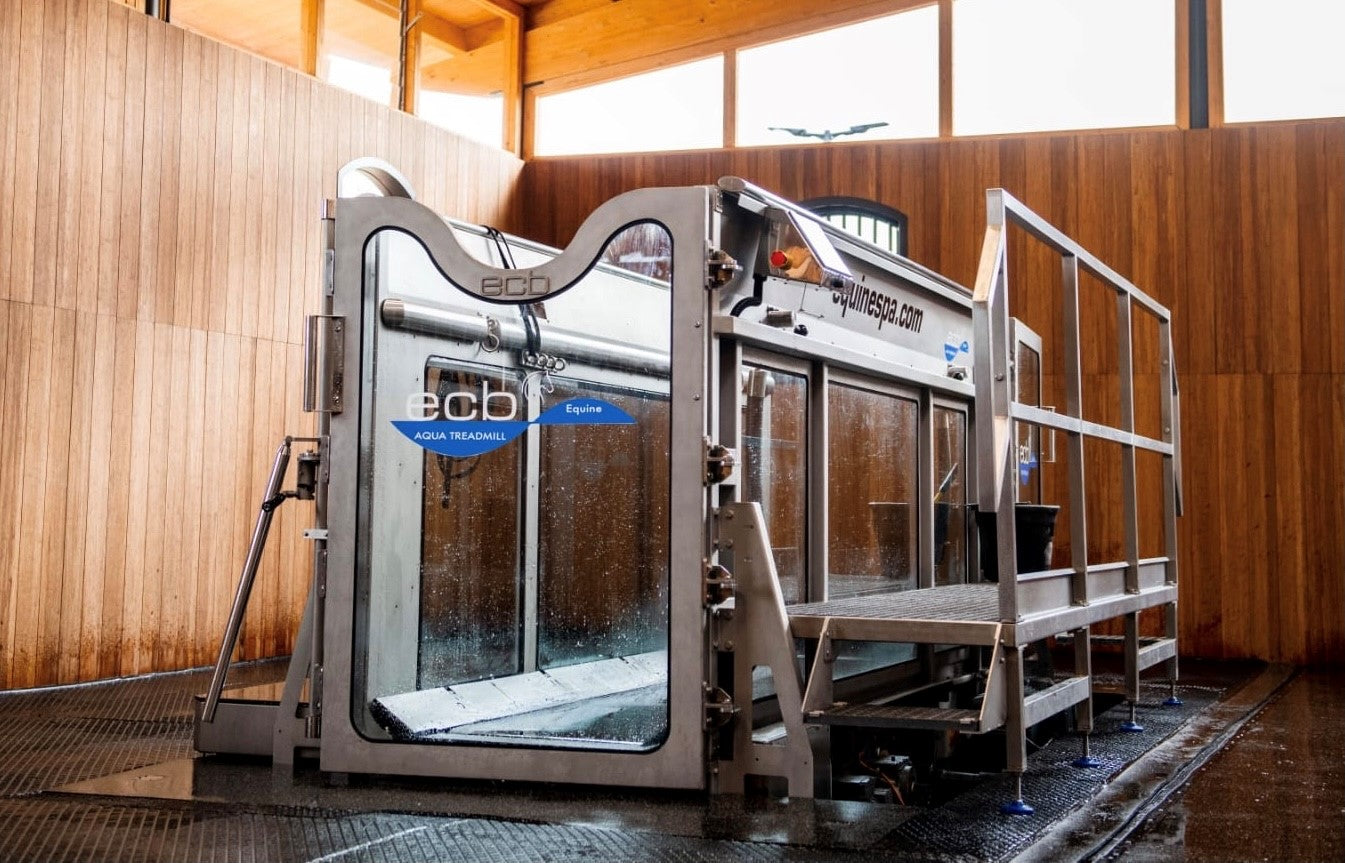 Pure Equine – DC|Engineering